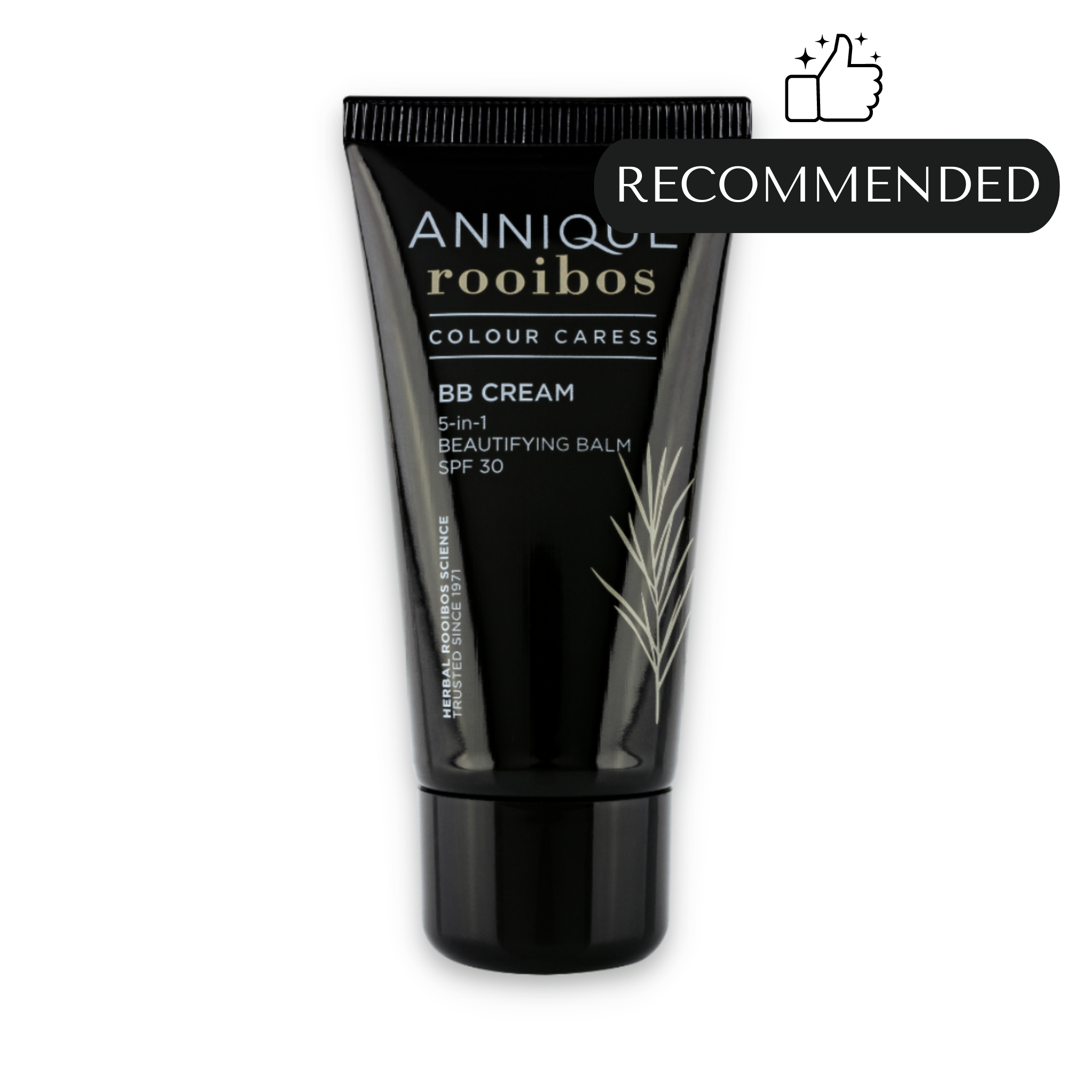 BB Cream SPF 30 30ml - ANNIQUE Rooibos Colour Caress – Rooibos and co.